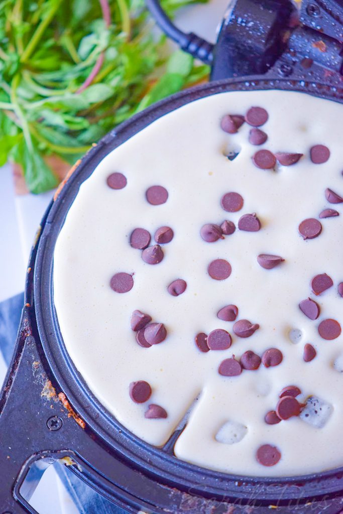 Double Chocolate Waffles - Sarah Titus