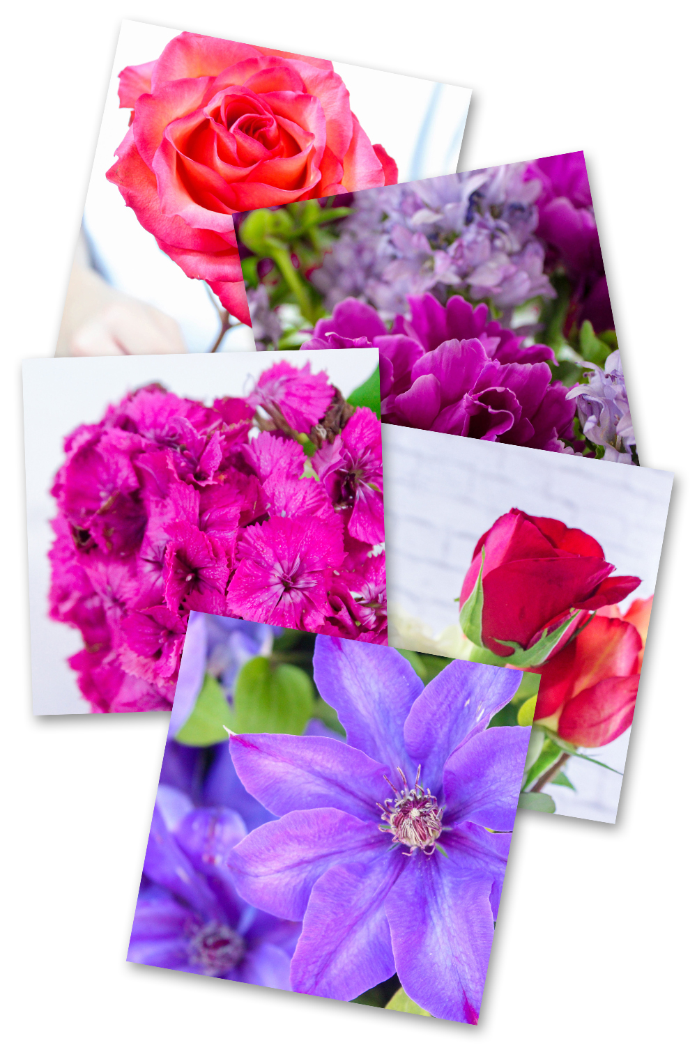 Free Facebook Pictures to Share - Sarah Titus