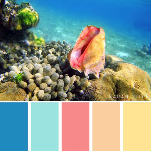 25 Ocean-Inspired Color Palettes - Sarah Titus