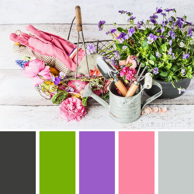 25 Spring Color Palettes - Sarah Titus