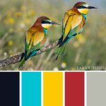 25 Spring Color Palettes - Sarah Titus