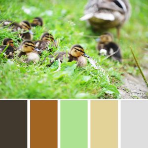 25 Spring Color Palettes - Sarah Titus