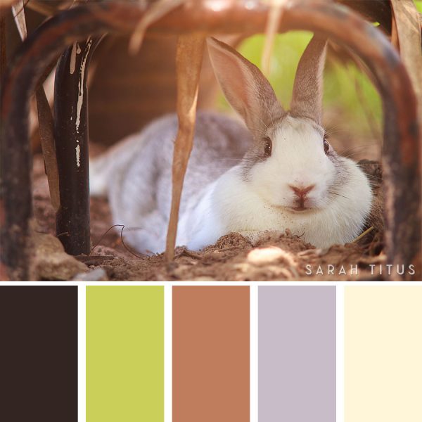 25 Easter Color Palettes - Sarah Titus