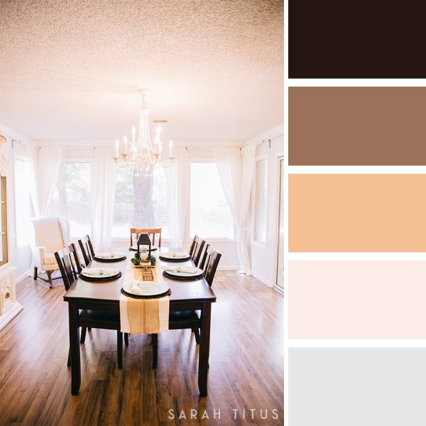 25 Home Decor Color Match Palettes - Sarah Titus