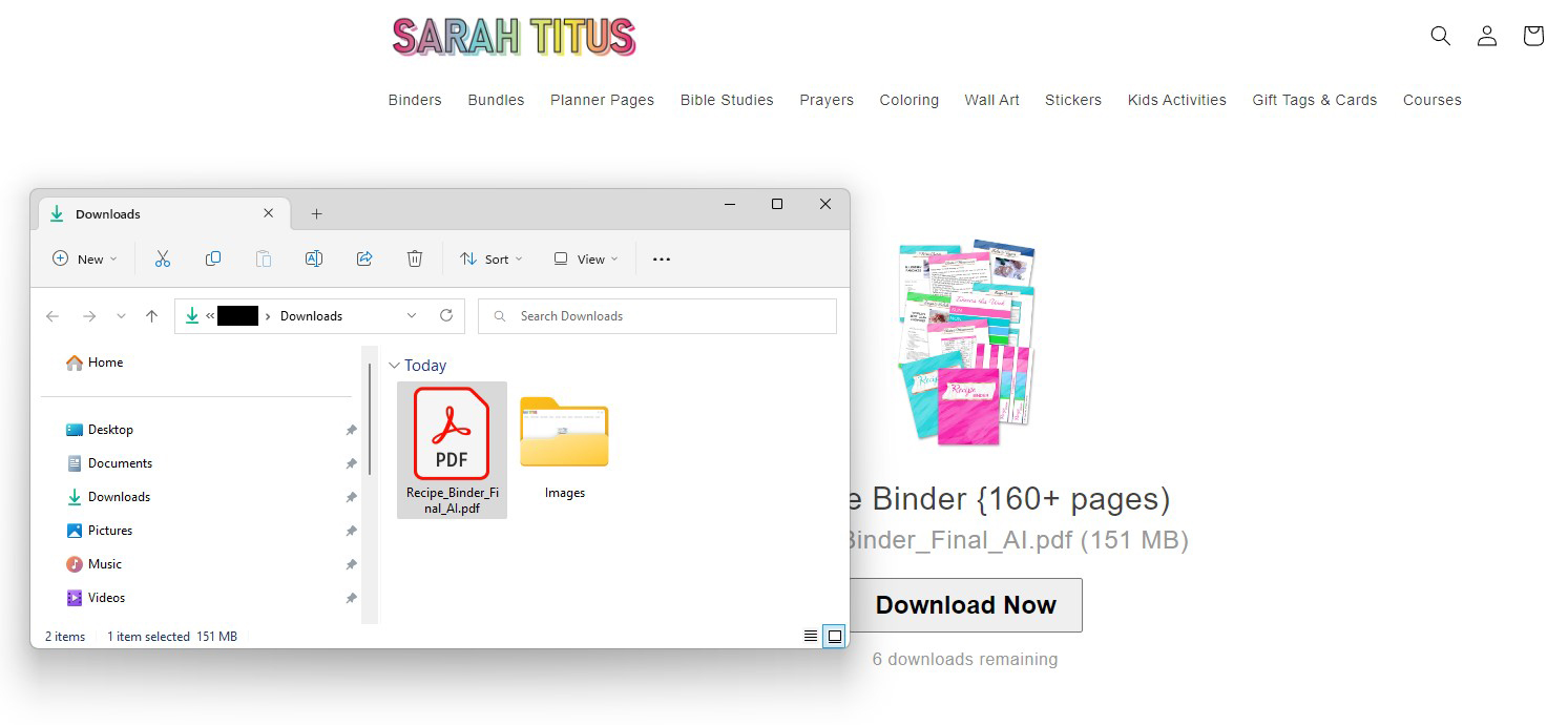 Your Customers View: How to Download Shopify Store Products - Sarah Titus