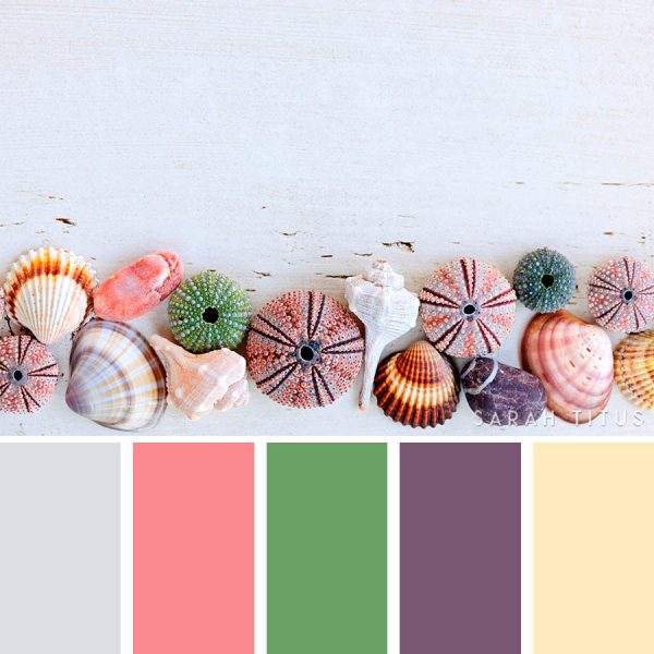 25 Ocean-Inspired Color Palettes - Sarah Titus