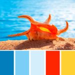 25 Ocean-Inspired Color Palettes - Sarah Titus