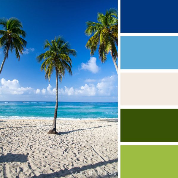25 Ocean-Inspired Color Palettes - Sarah Titus