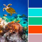 25 Ocean-Inspired Color Palettes - Sarah Titus