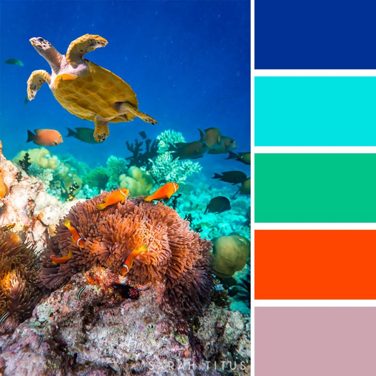 25 Ocean-Inspired Color Palettes - Sarah Titus