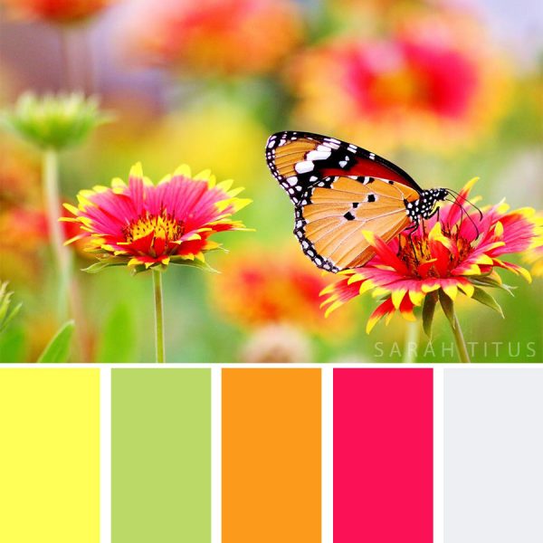 24 Best Flower-Inspired Color Palettes - Sarah Titus