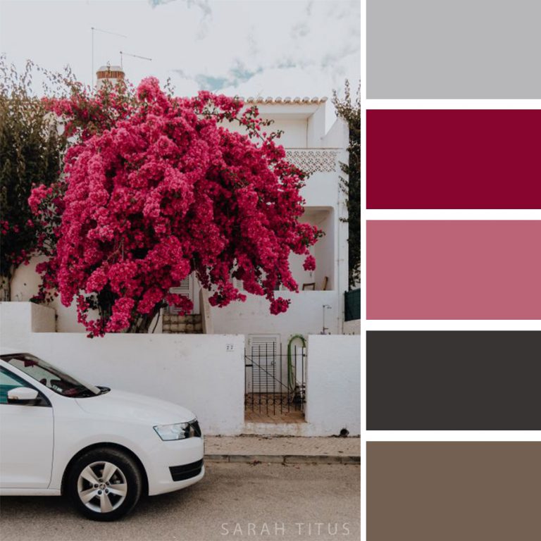 24 Best Flower-Inspired Color Palettes - Sarah Titus