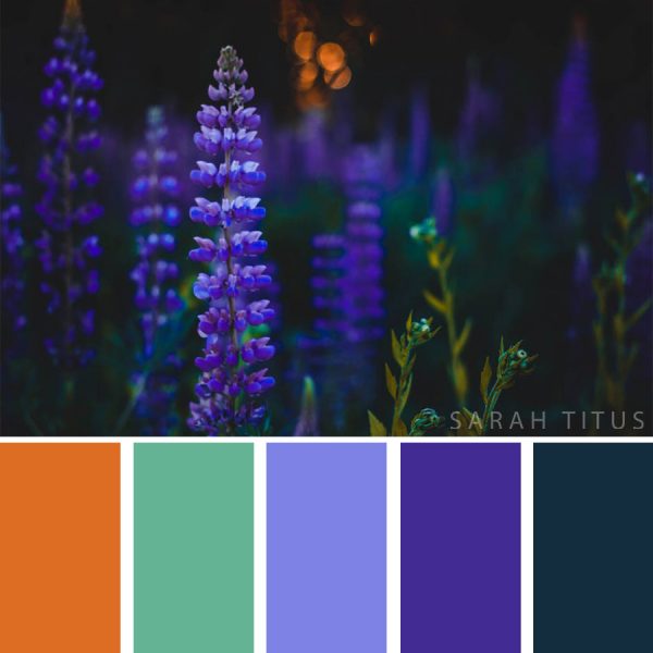 24 Best Flower-Inspired Color Palettes - Sarah Titus