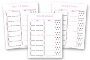 The One Blogging Binder You Need - Sarah Titus