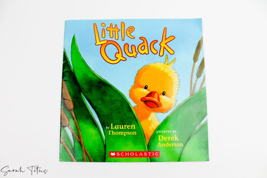 Cute Little Quack Sensory Play For Toddlers - Sarah Titus
