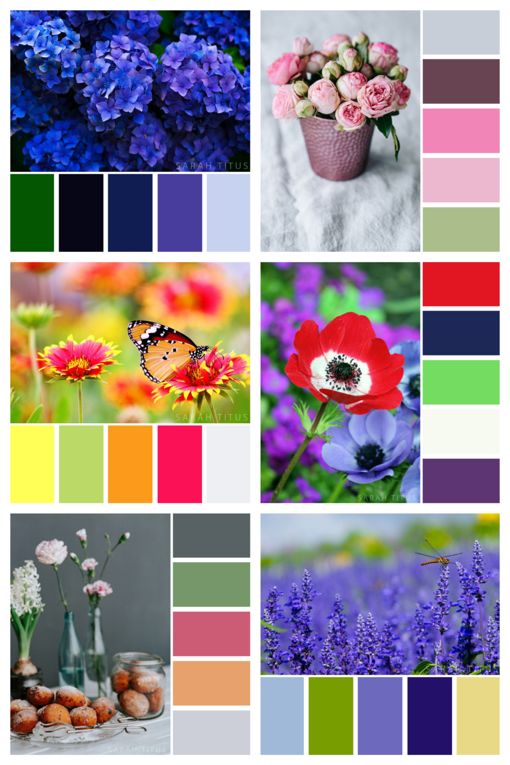 25 Summer Color Palettes - Sarah Titus