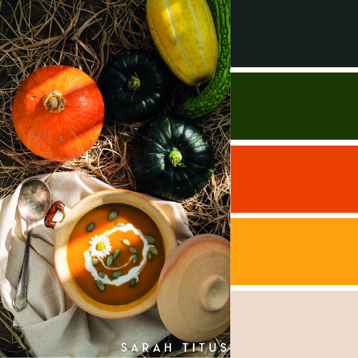 25 Thanksgiving Color Palettes - Sarah Titus