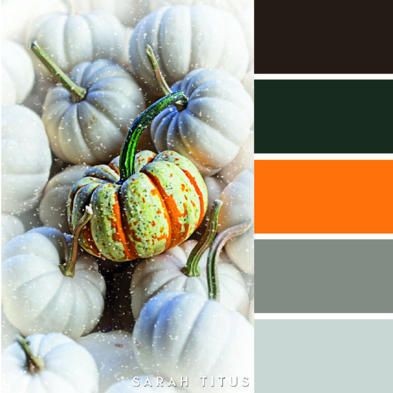 25 Thanksgiving Color Palettes - Sarah Titus