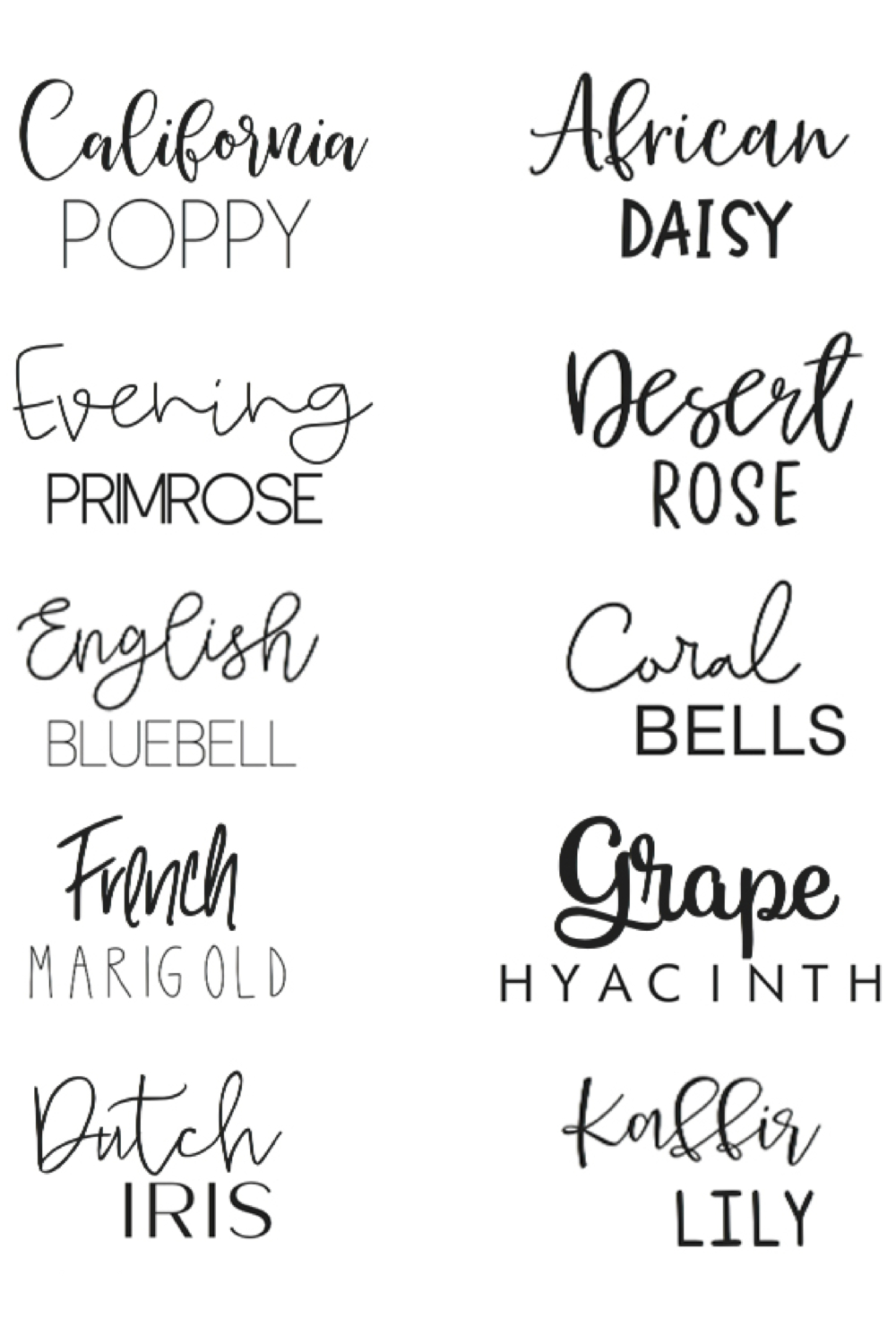 12 Best Calligraphy Font Pairings - Sarah Titus