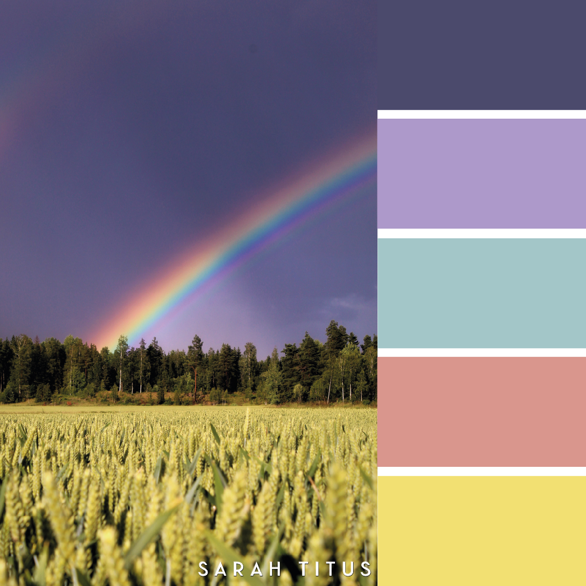 Rainbow Color Palettes - Sarah Titus