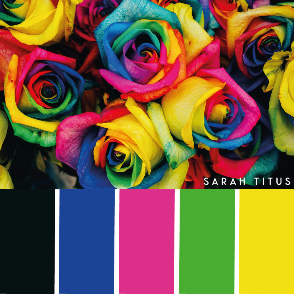 Rainbow Color Palettes - Sarah Titus