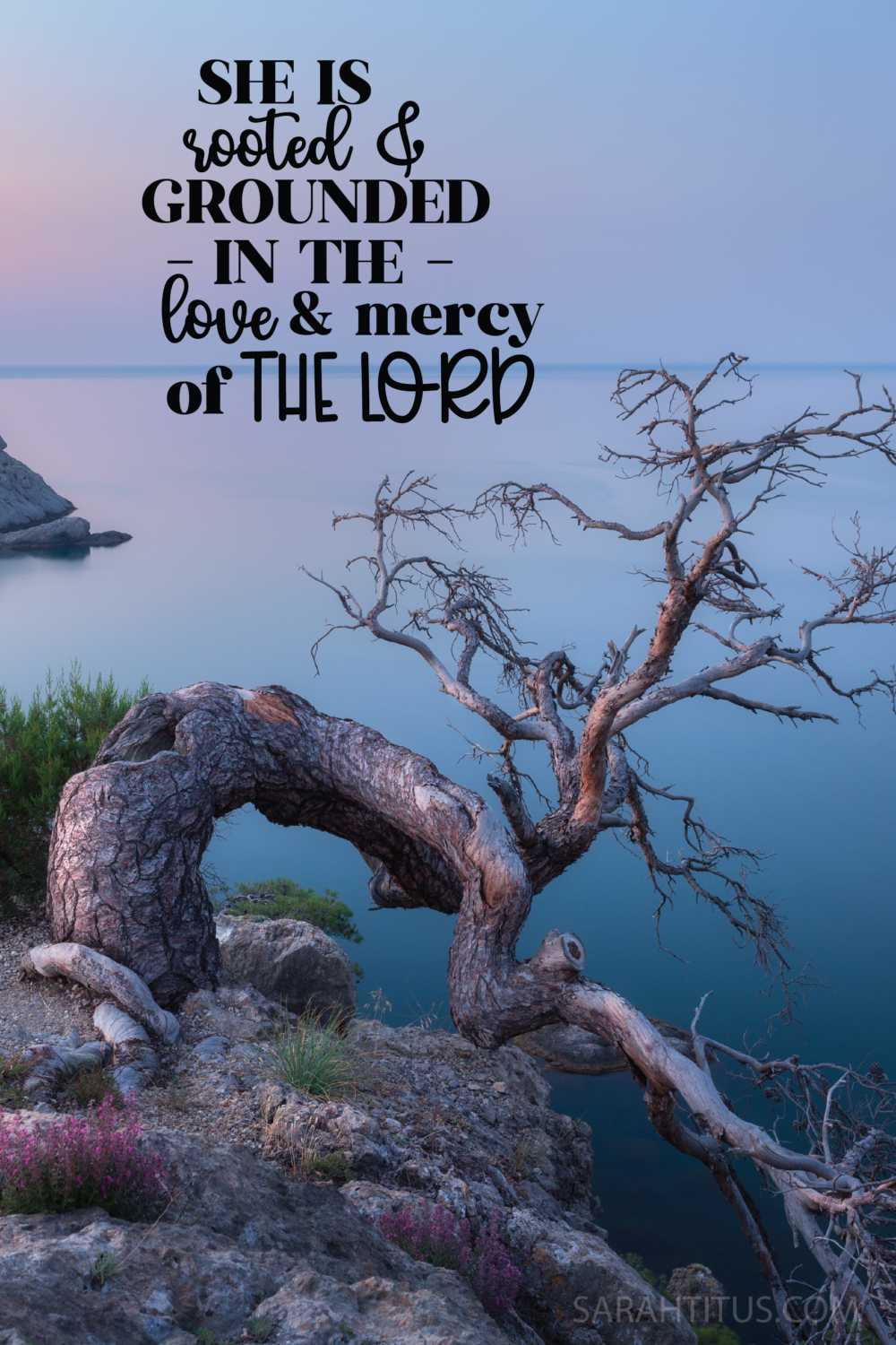 She is Rooted Christian Wallpaper Quote - Sarah Titus
