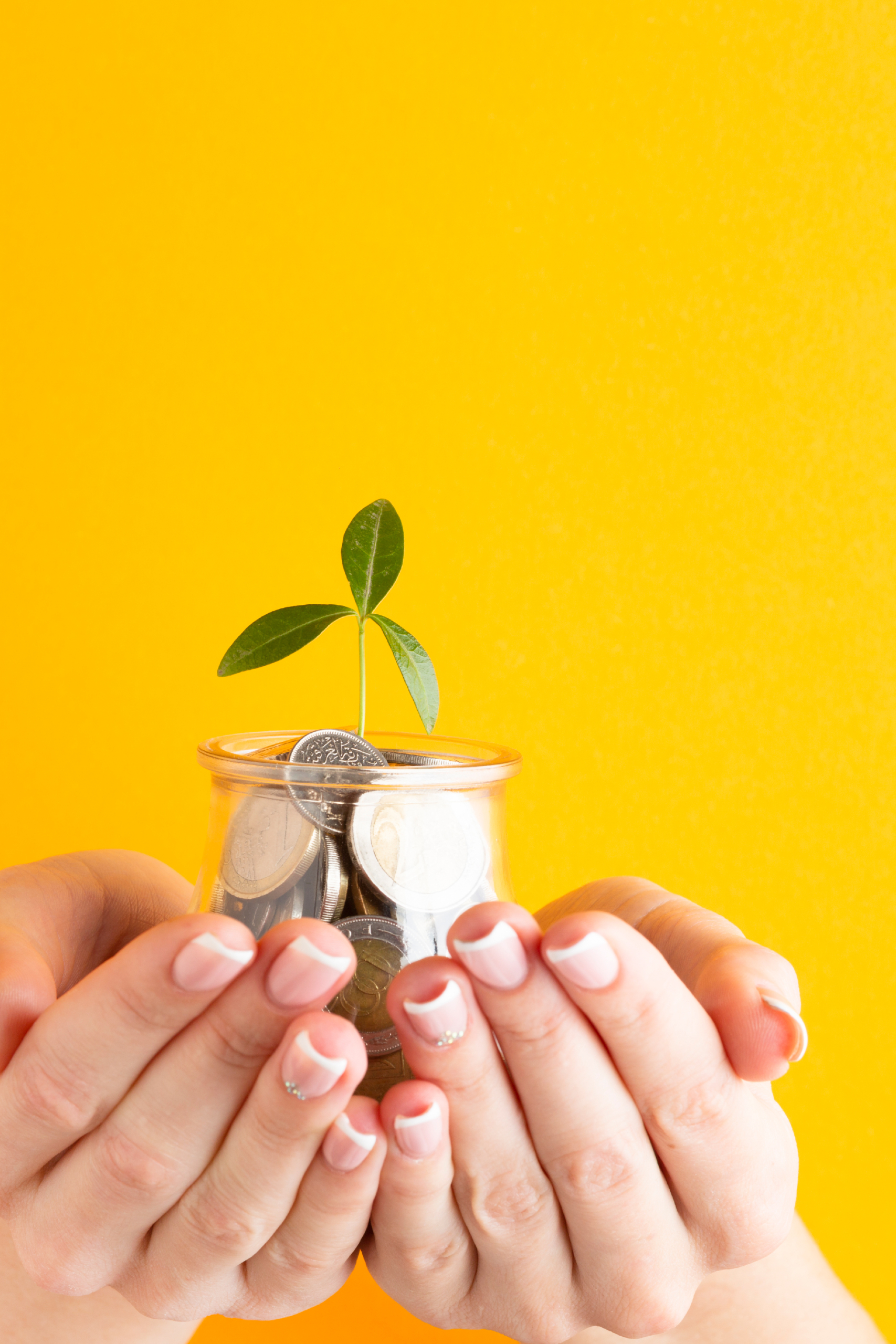 20+ Ways To Stop Your Money From Flying Out the Window - Sarah Titus