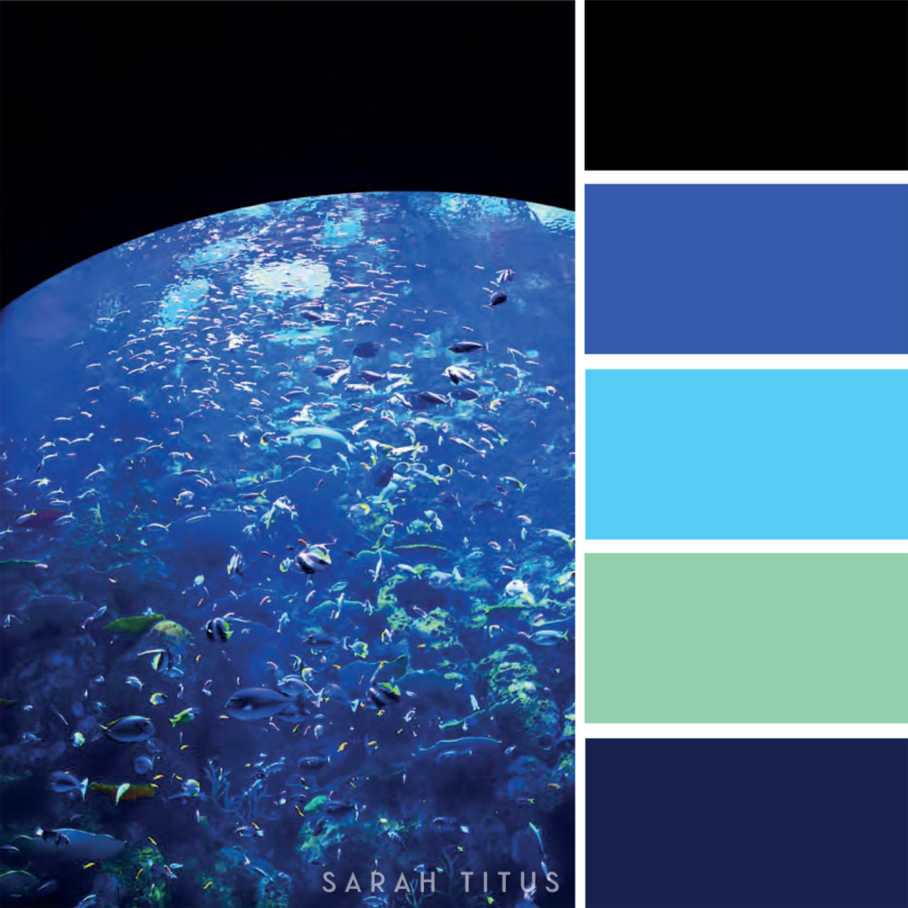 Aquarium Color Palettes - Sarah Titus