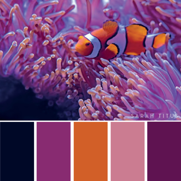 Aquarium Color Palettes - Sarah Titus