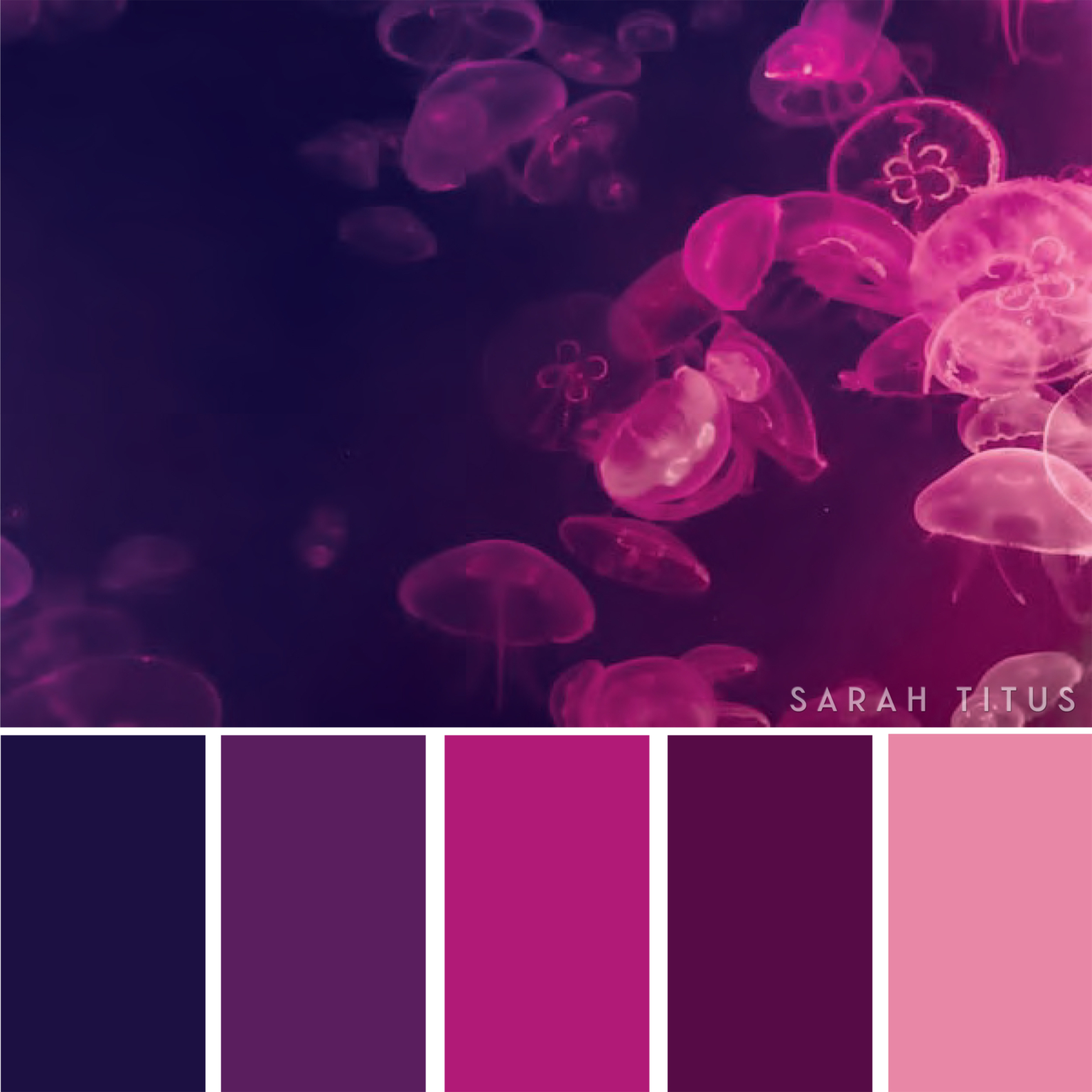 Aquarium Color Palettes - Sarah Titus