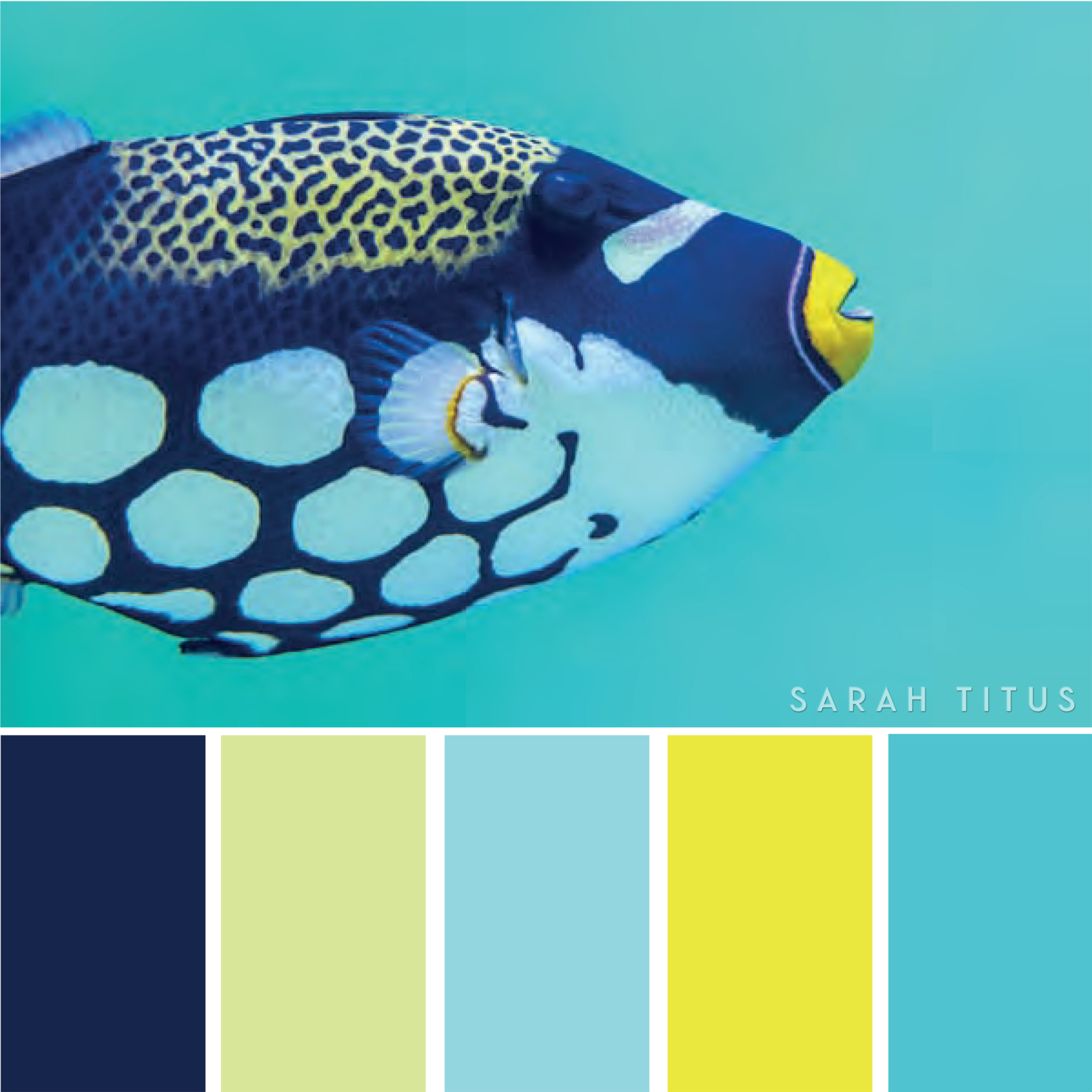 Aquarium Color Palettes - Sarah Titus