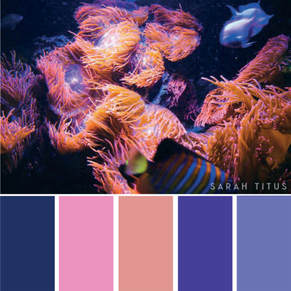 Aquarium Color Palettes - Sarah Titus