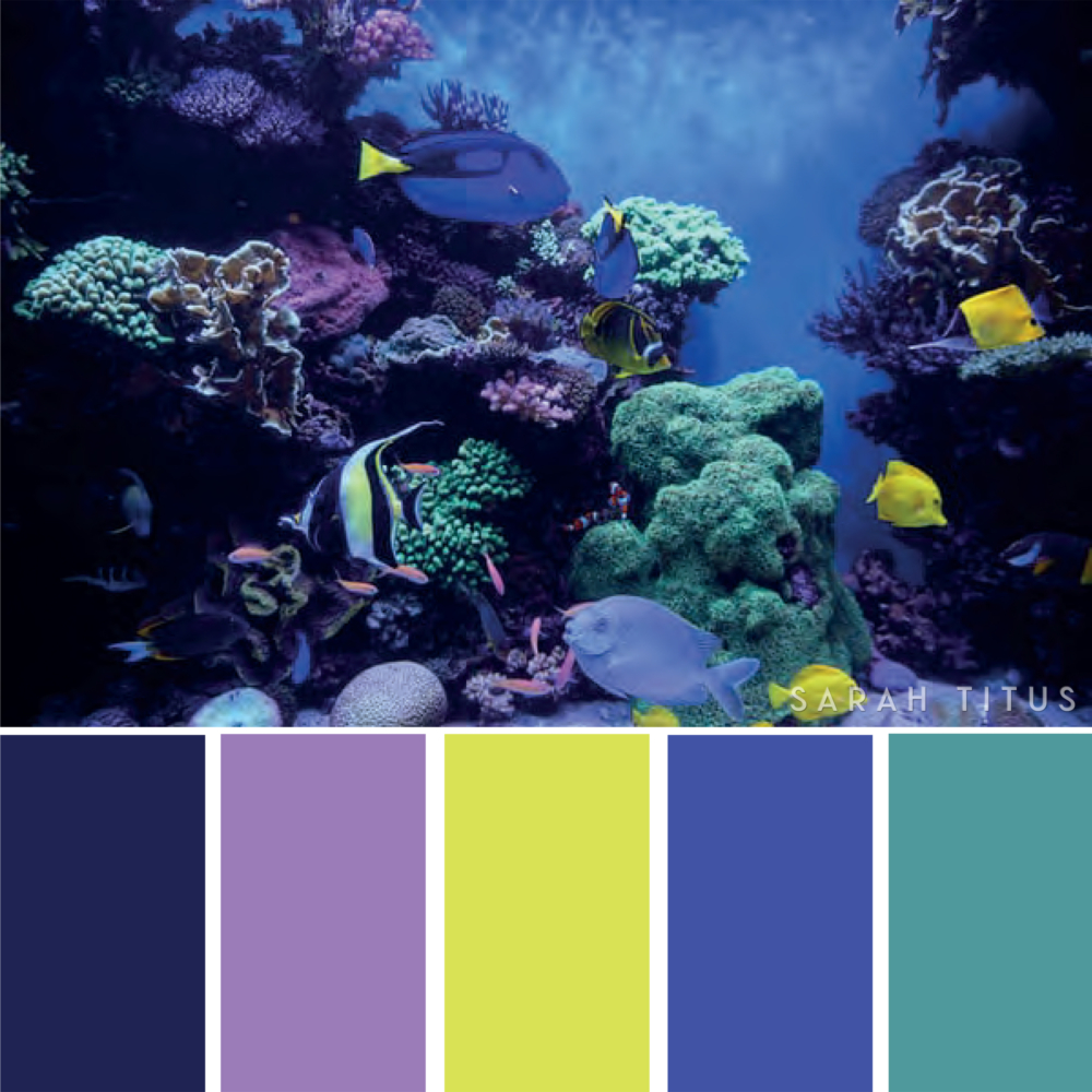 Aquarium Color Palettes - Sarah Titus