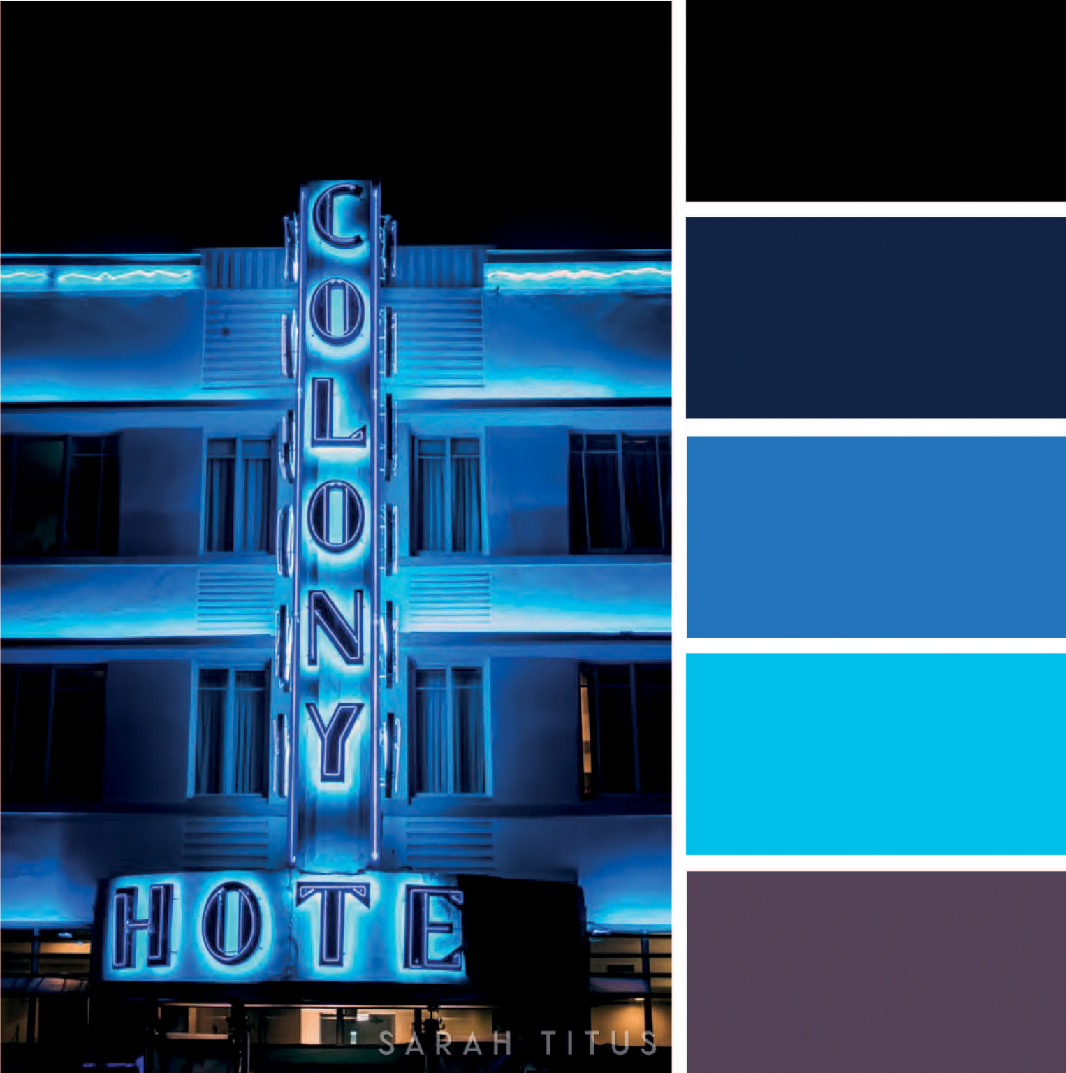 Neon Color Palettes - Sarah Titus