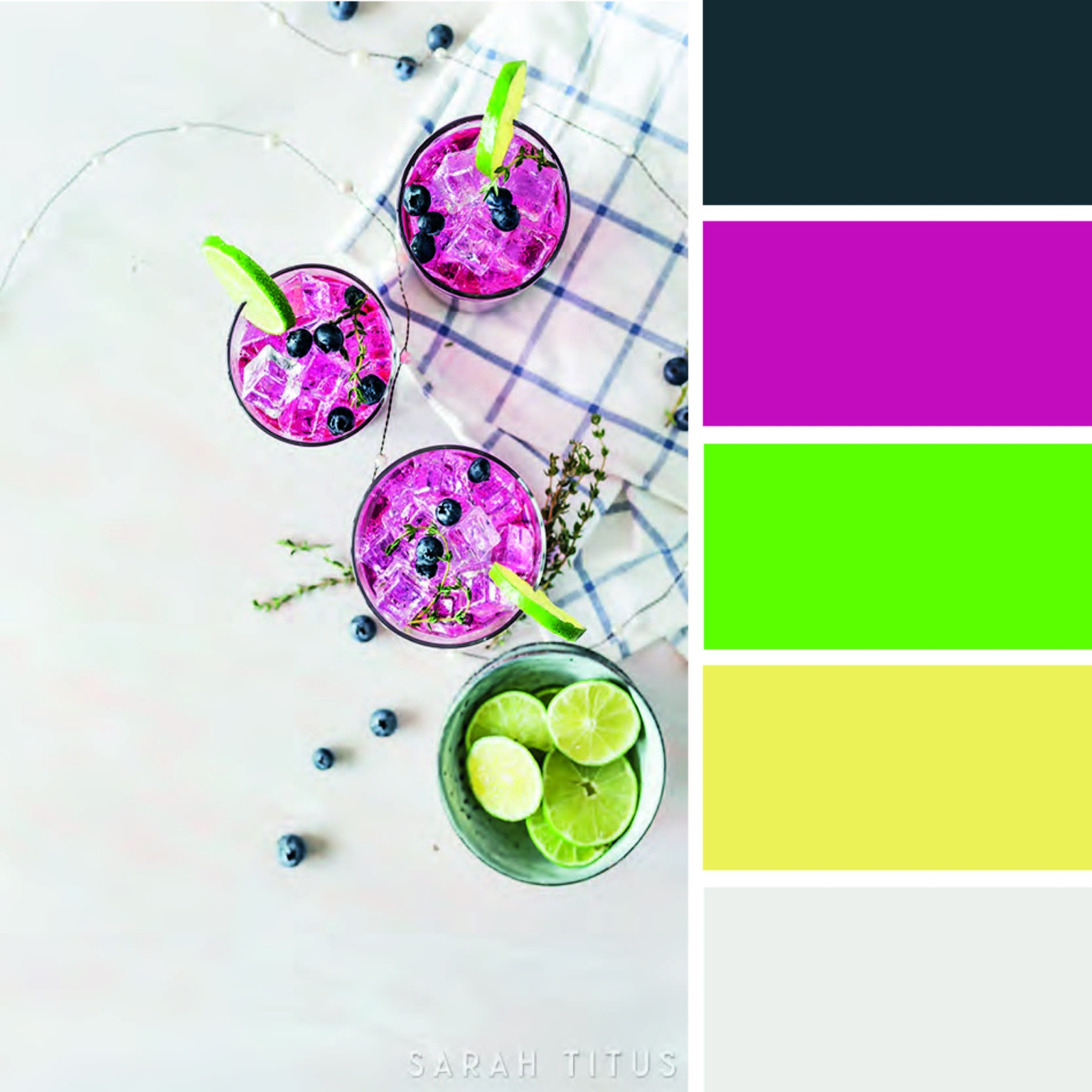 Food Color Palettes - Sarah Titus