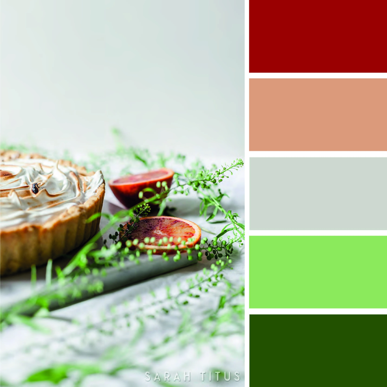 Food Color Palettes - Sarah Titus