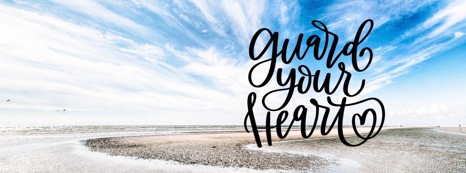 Guard Your Heart Wallpaper - Sarah Titus