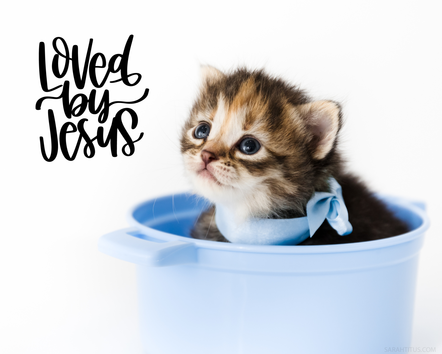 Loved By Jesus Kitten Cat Wallpaper - Sarah Titus