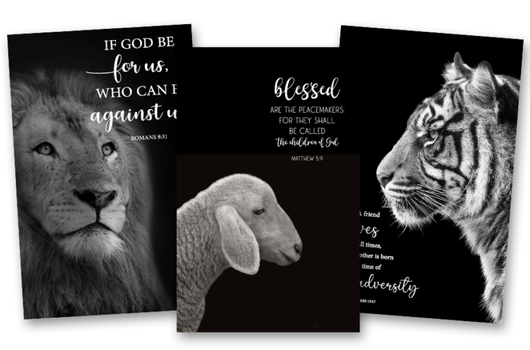 Traditional Church Bulletins Black & White {2-Year Supply} - Sarah Titus